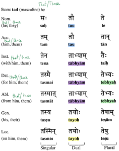 Lesson 28 - Sanskrit for Beginners Course: 3rd Person Pronouns (saḥ ...