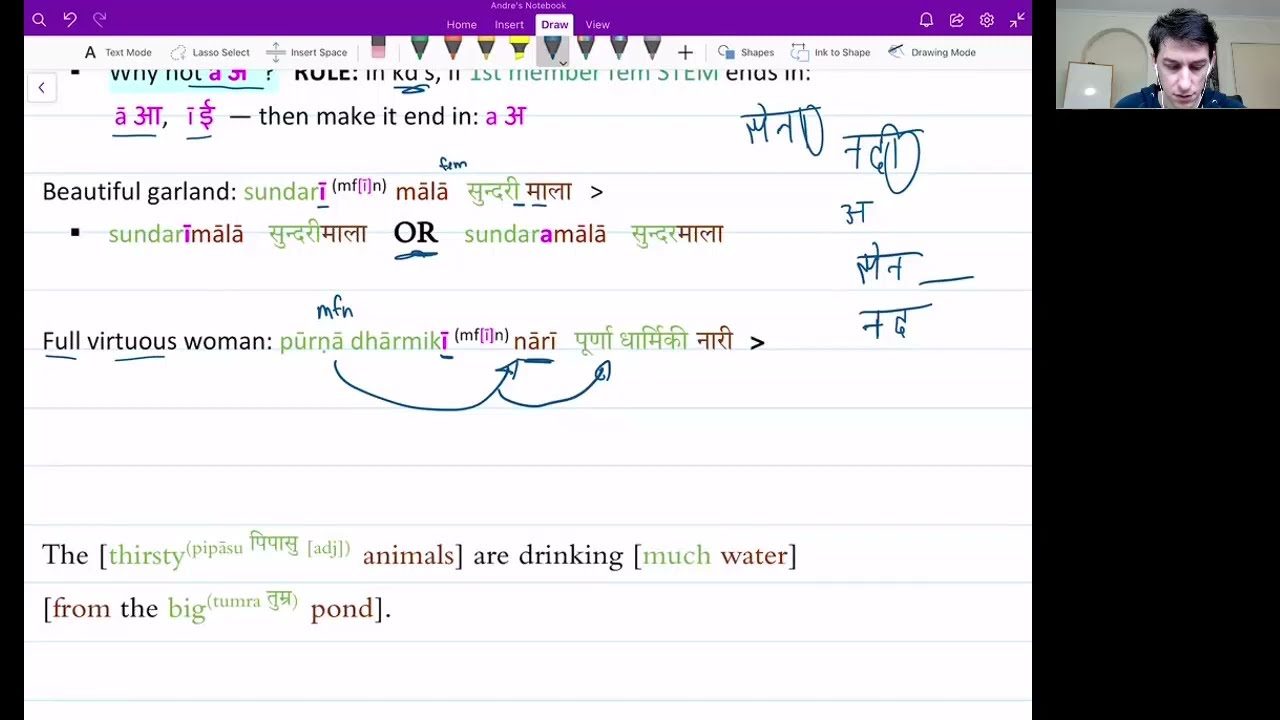 Lesson 47 - Sanskrit for Beginners Course: Dvandva & Tatpurusha Revision