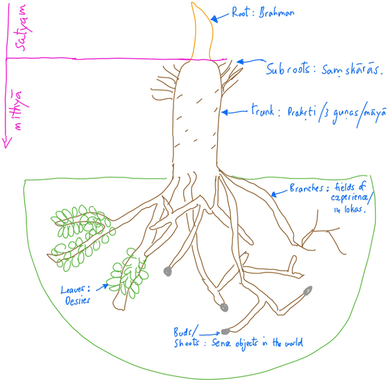 Lesson 155 - How Samsara Traps & Creates Illusion of Two-ness (Dvaita)