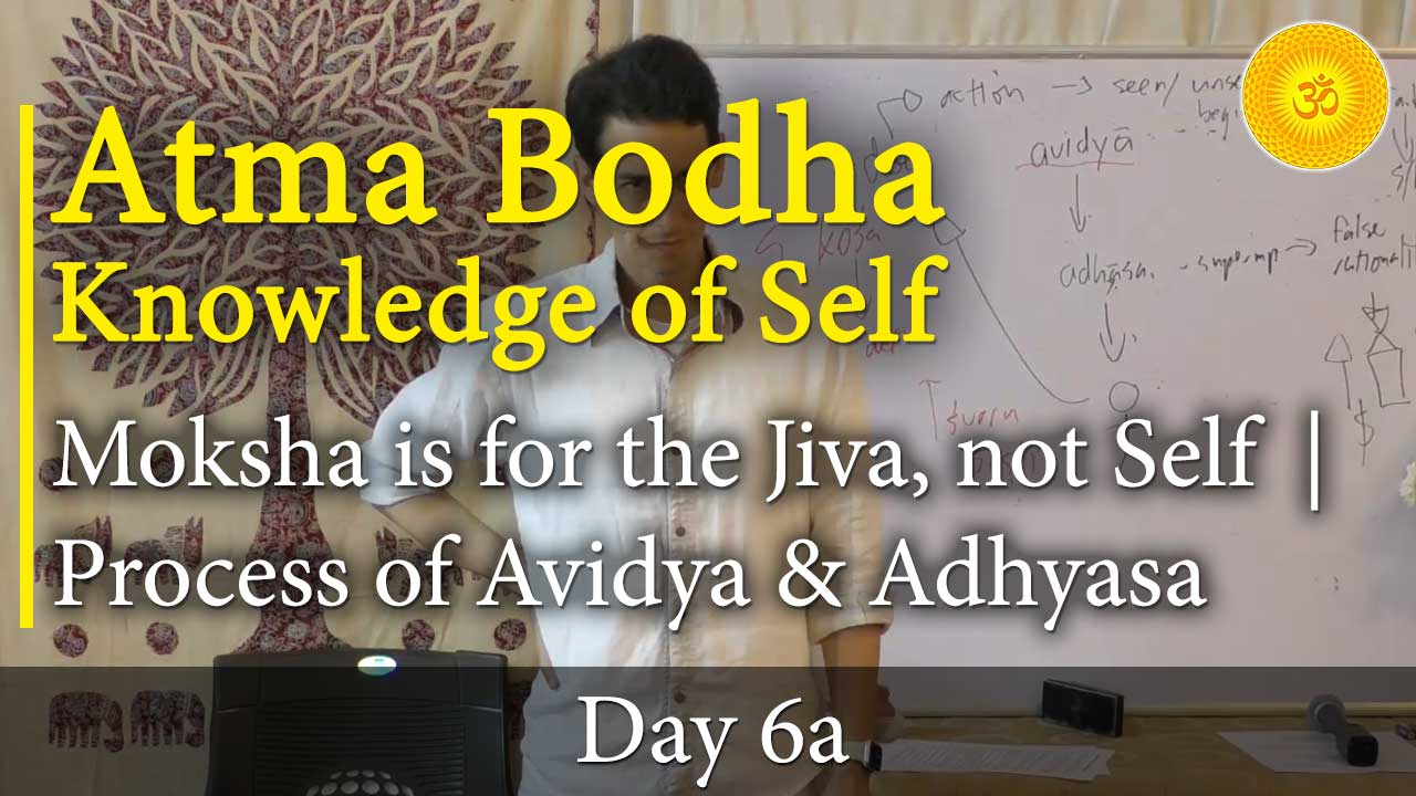6A - Atma Bodha (Self-Knowledge): Self Shines Beyond Thought | Purpose ...