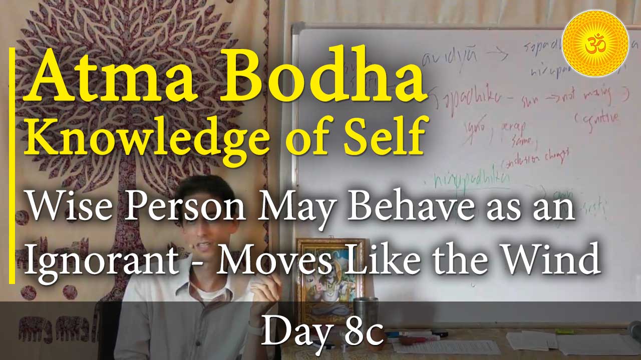 8C - Atma Bodha (Self-Knowledge): Wise Person May Behave as an Ignorant ...